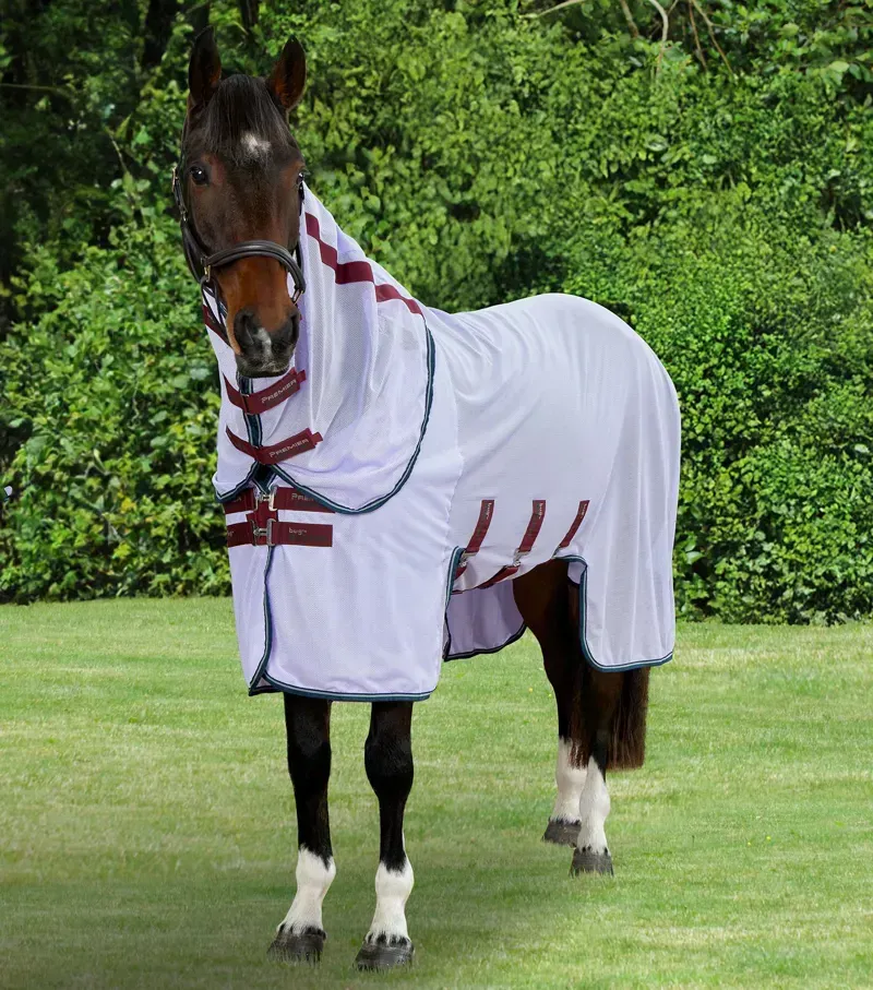 Premier Equine Bug Buster Fly Rug With Detachable Neck And Belly Flap ...