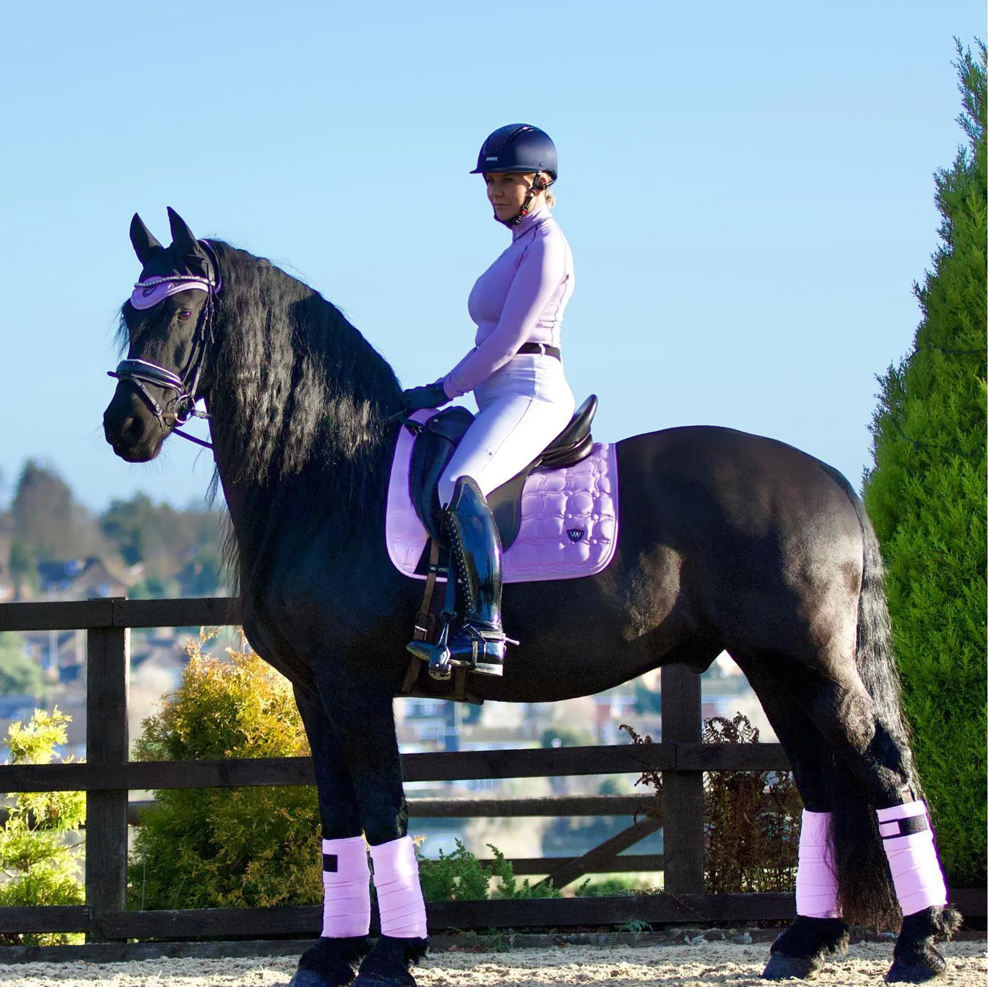 Woof Wear Vision Fly Veil - Lilac